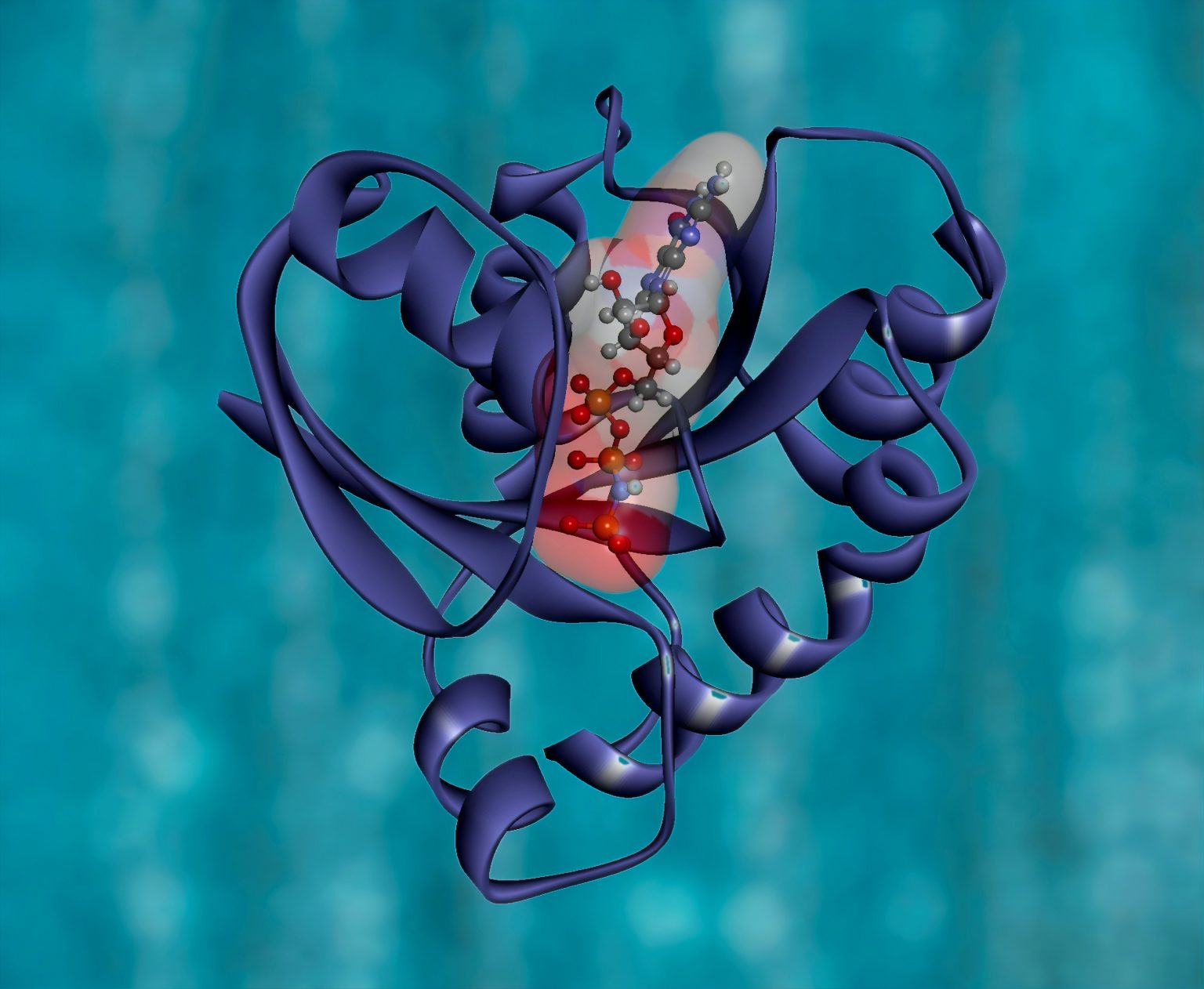 Databases – Technion Library